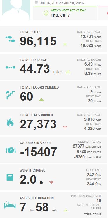July 11, 2016 Week 009 - Day 053 & FitBit Report!